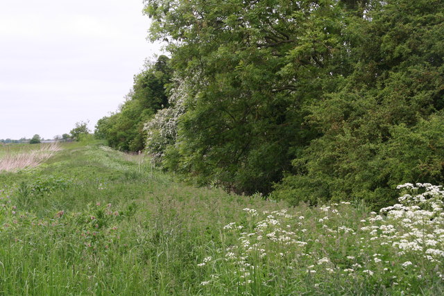 File:Car Dyke behind North Kyme, looking north - geograph.org.uk ...